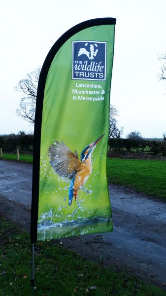 Windchaser [Wildlife Trust] – Zoom Display